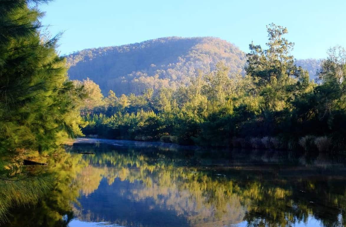 Ellenborough Reserve Campground (NSW) - Smart Camper Guide
