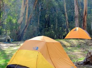 Allenvale Camping Reserve - Smart Camper - Great Ocean Road Camping